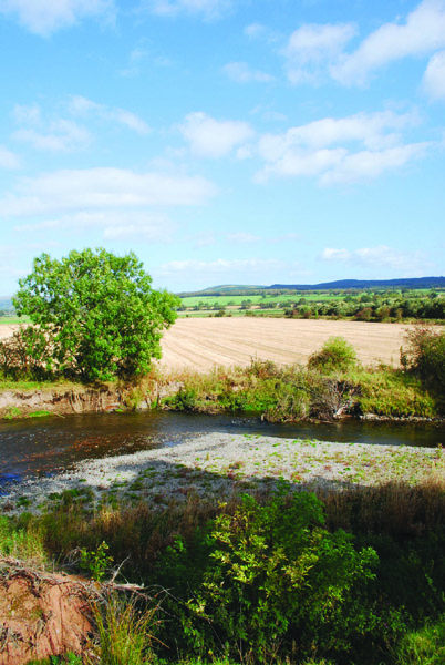 Scottish C2C Info – LATEST ARTICLES
